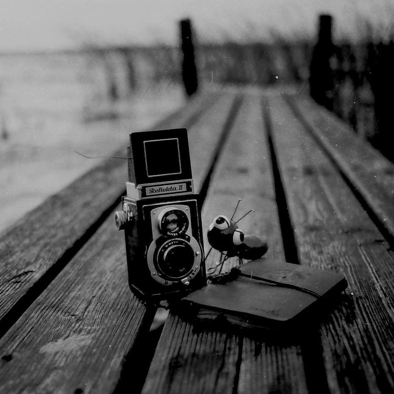 WOLFEN UN54 - 36EXP – ORWO Film